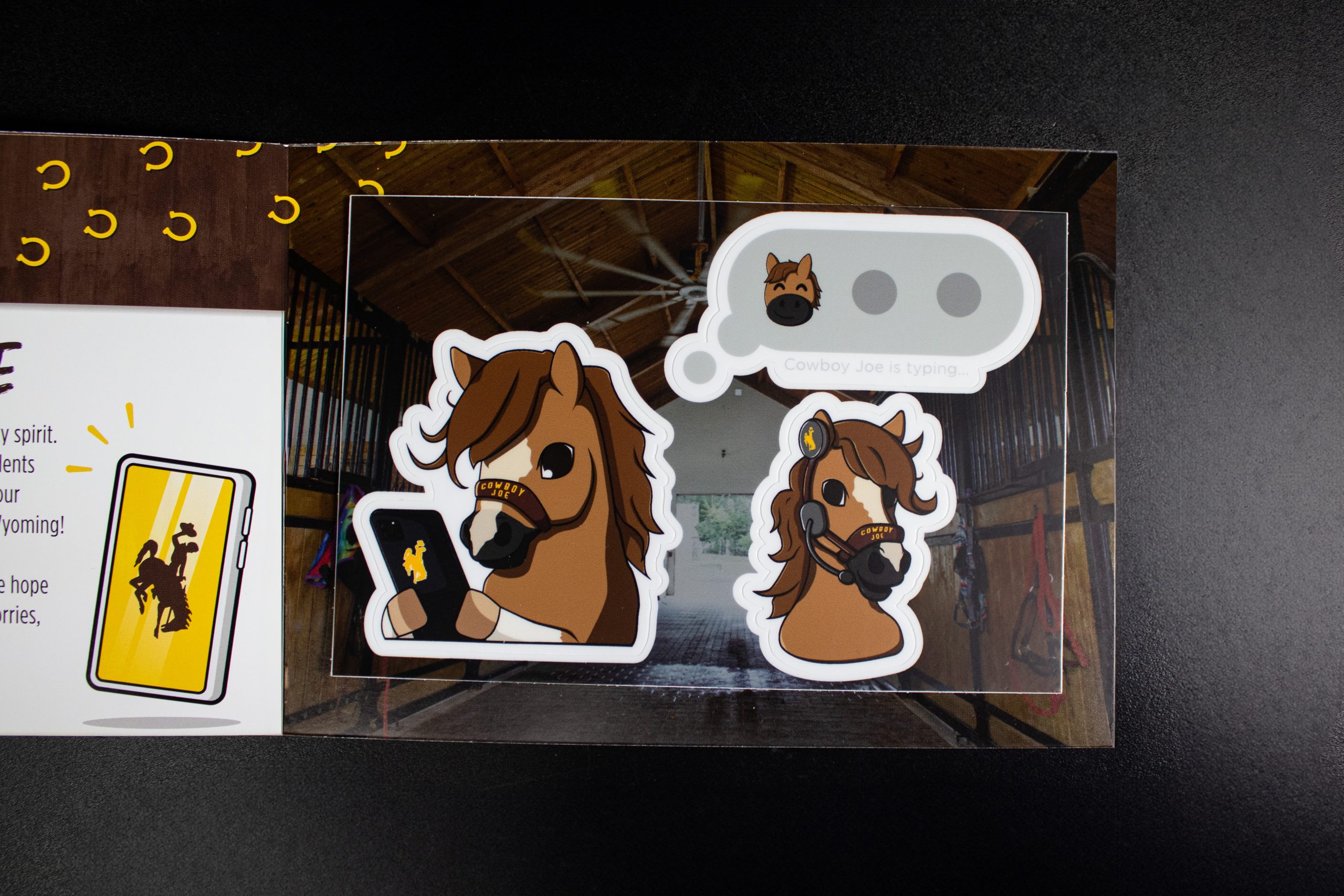 University of Wyoming “Meet Cowboy Joe” Sticker Self-Mailer - Slate Group