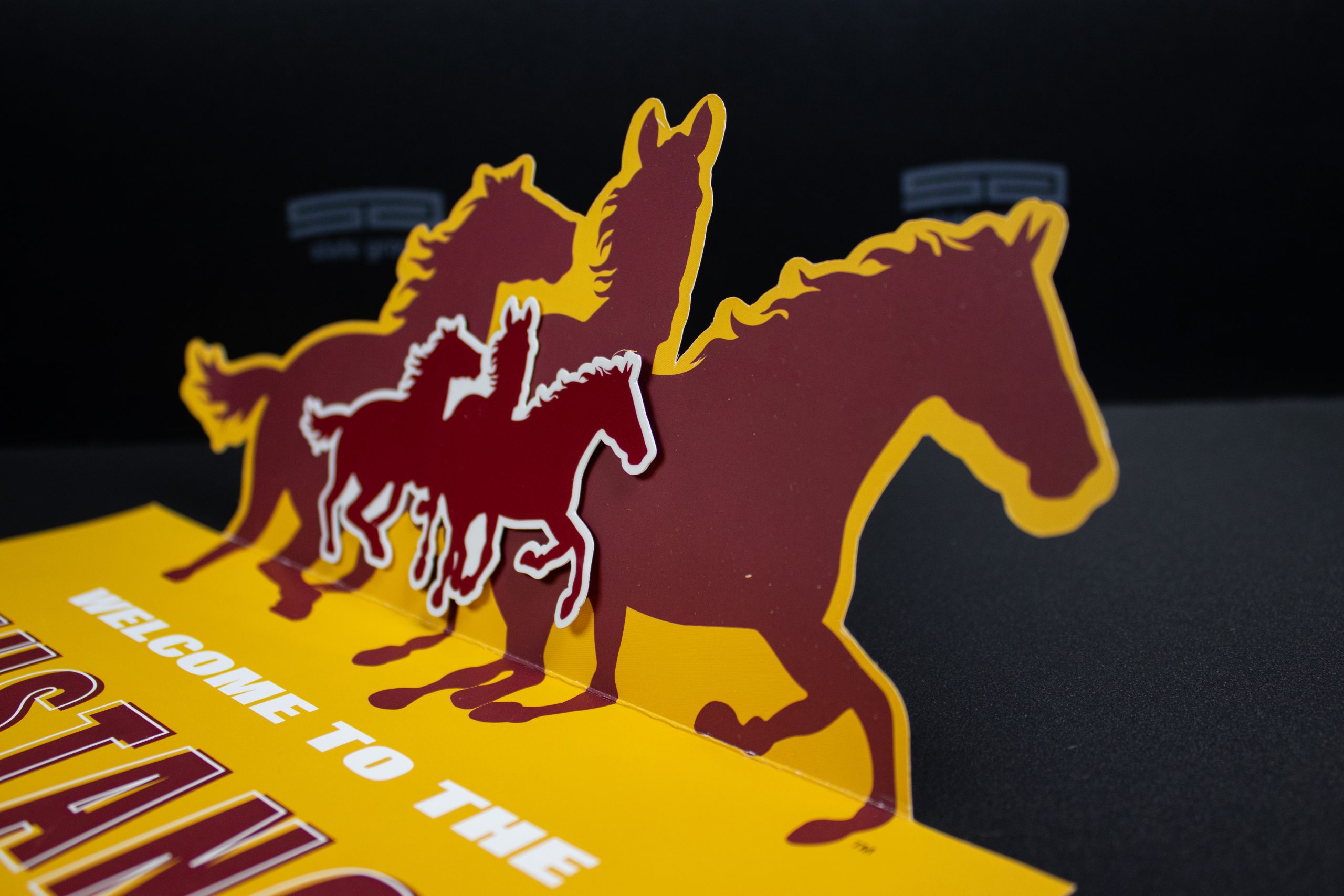 Midwestern State University Admissions Piece - Slate Group