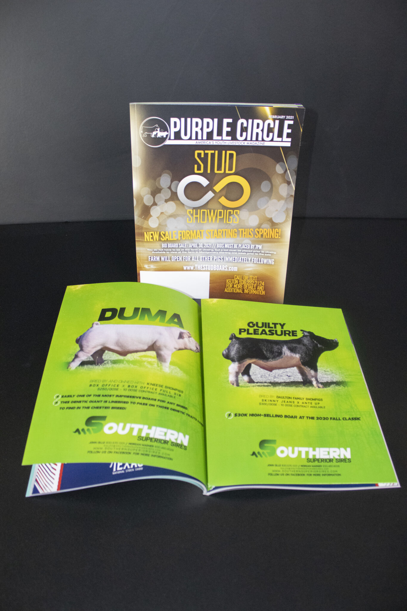 Purple Circle with Snake Fold - Slate Group